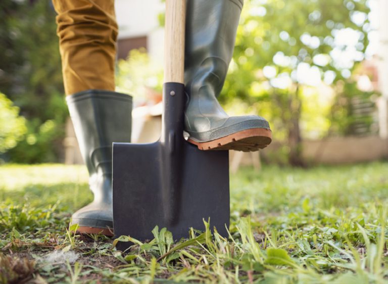 Safe Digging and Planting the Right Tree in the Right Place - Great ...