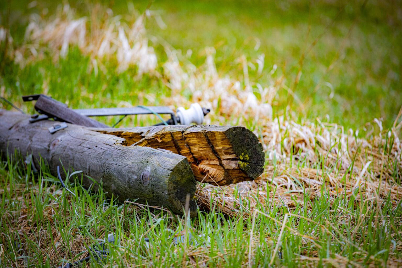 Storm Debris Cleanup Update - Great Lakes Energy